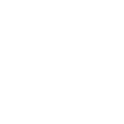 RISE Professionals – GROWING, RECOGNIZING, AND ADVANCING THE BEST YOUNG ...